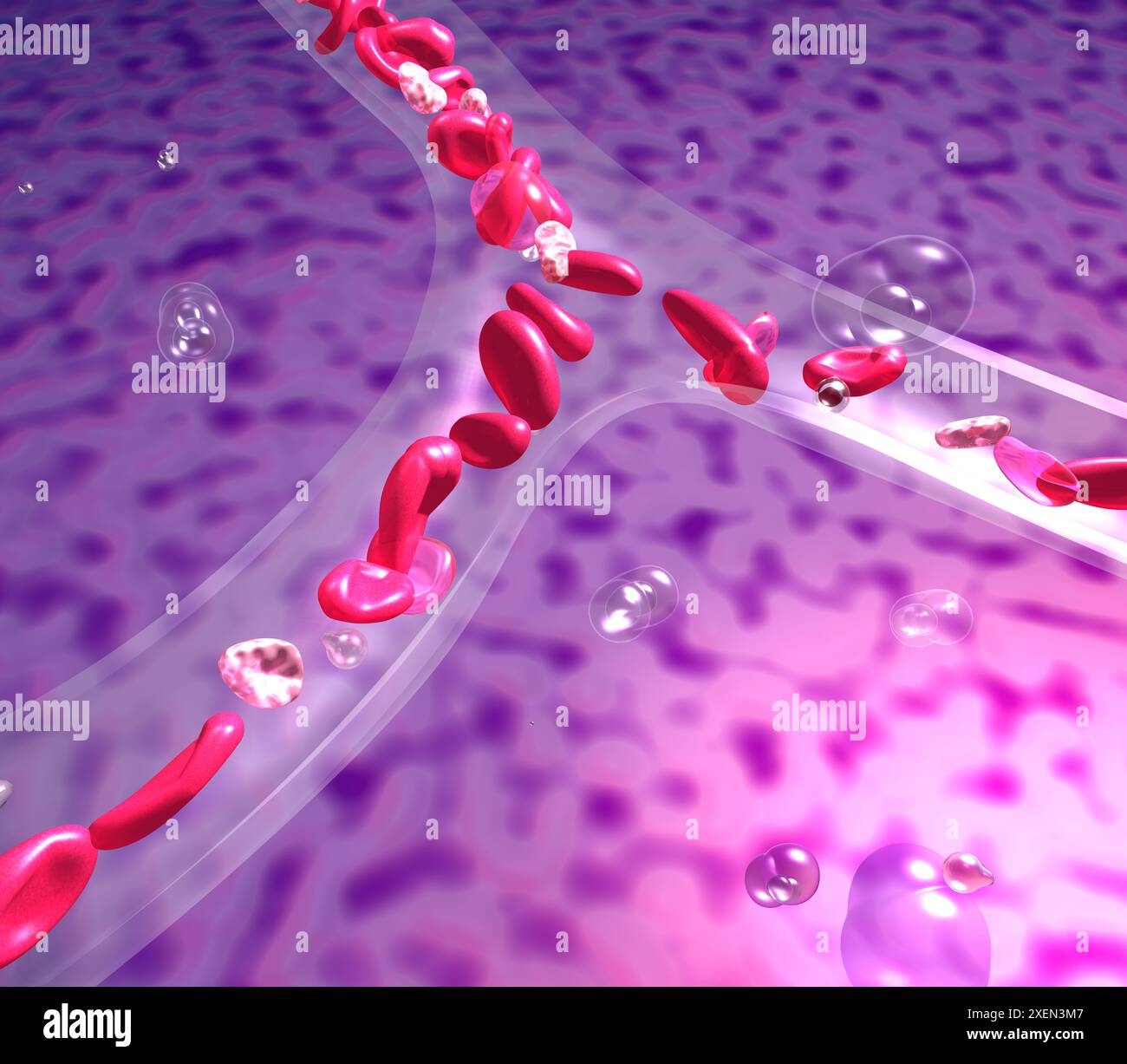 Anatomical 3D illustration of an artery or vein with the movement of ...