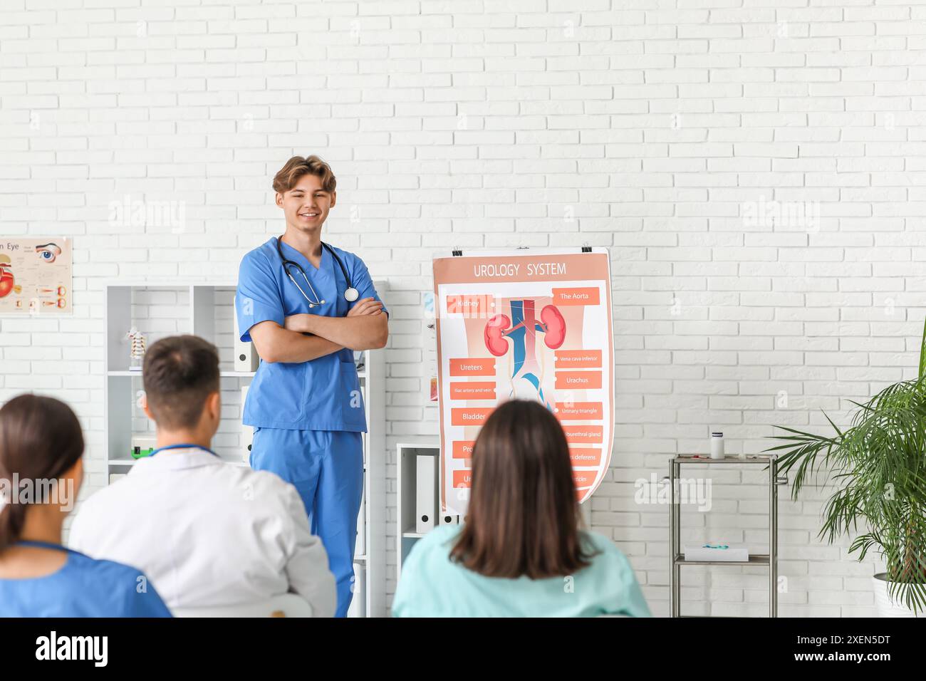 Male doctor working with poster of urology system and his colleagues in ...