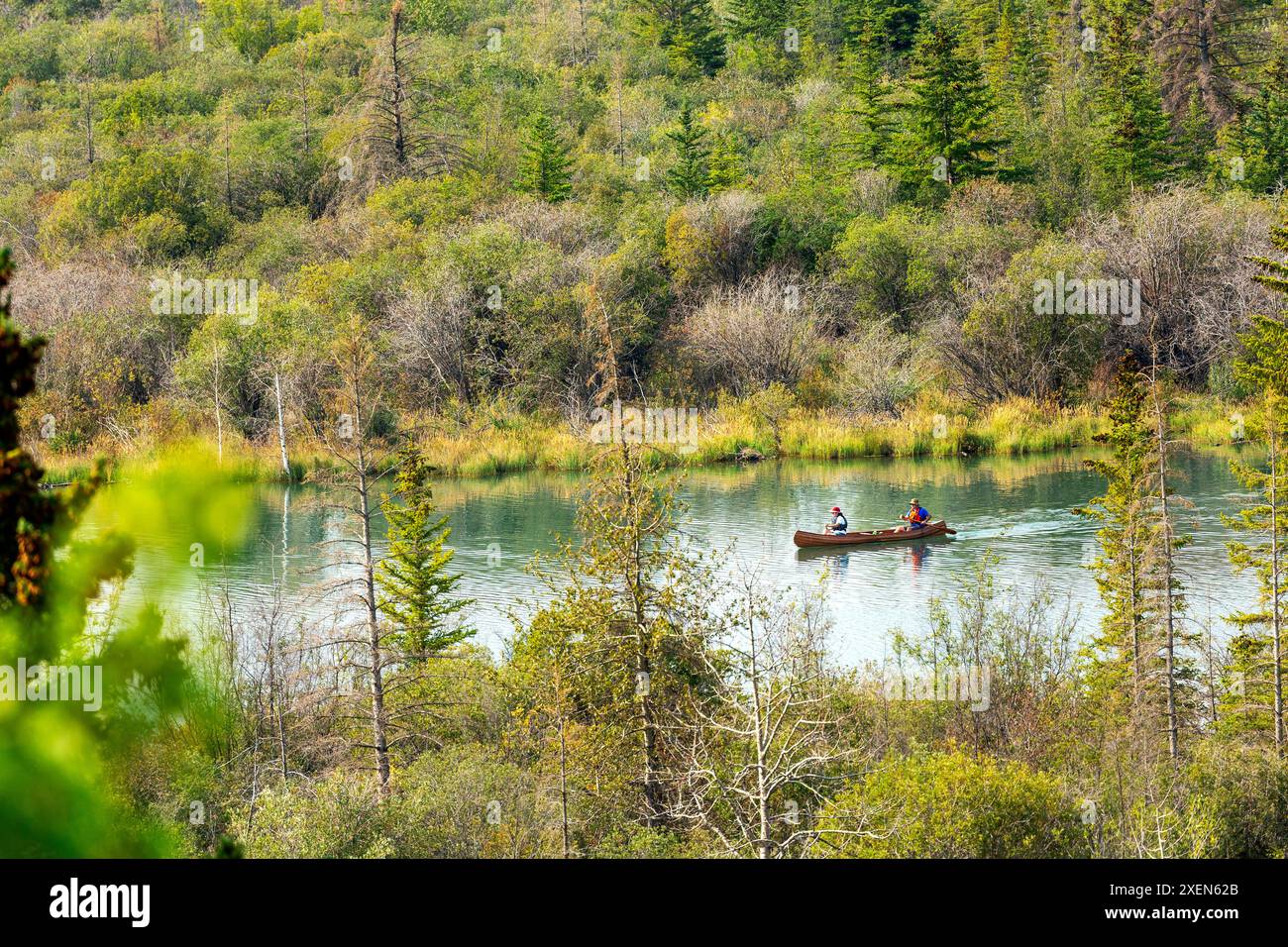 Female and male canoeist on a lake paddling with refection in the ... Female and male canoeist on a lake paddling with refection in the ...