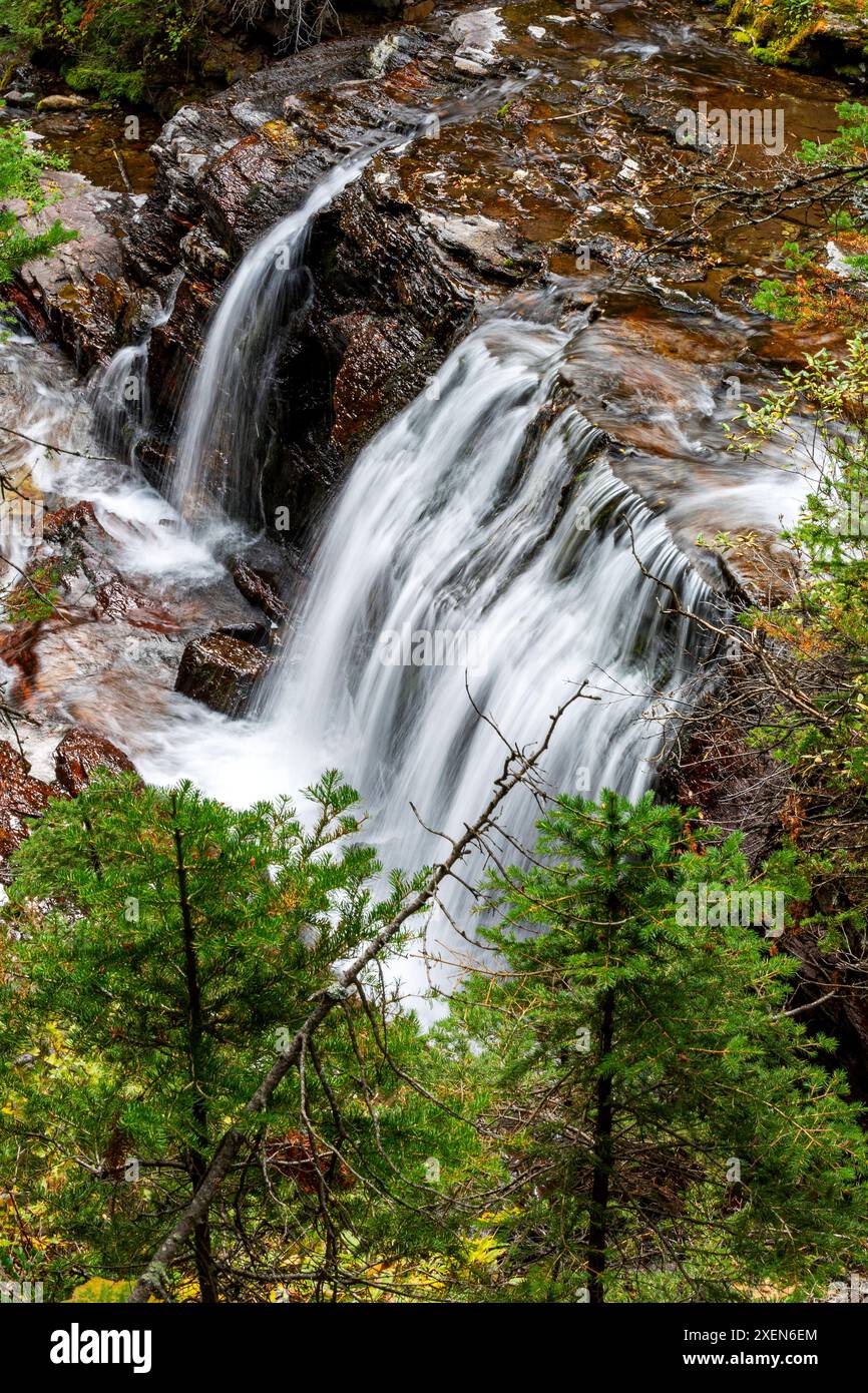 Waterfalls in a creek flowing down a rock face with evergreen trees in ...