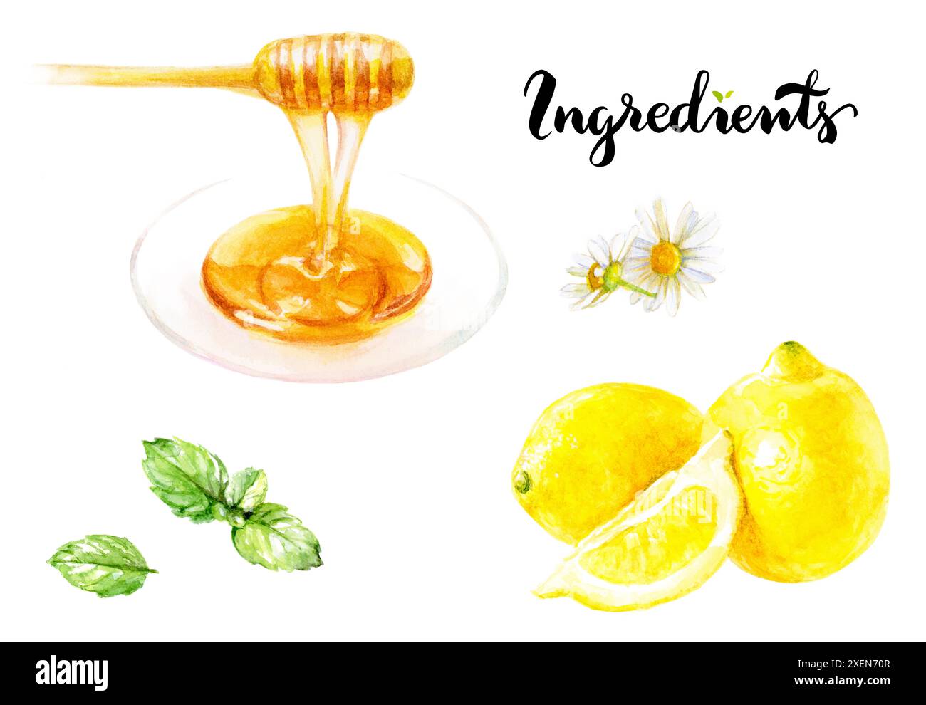 Delightful kitchen Cut Out Stock Images & Pictures - Alamy