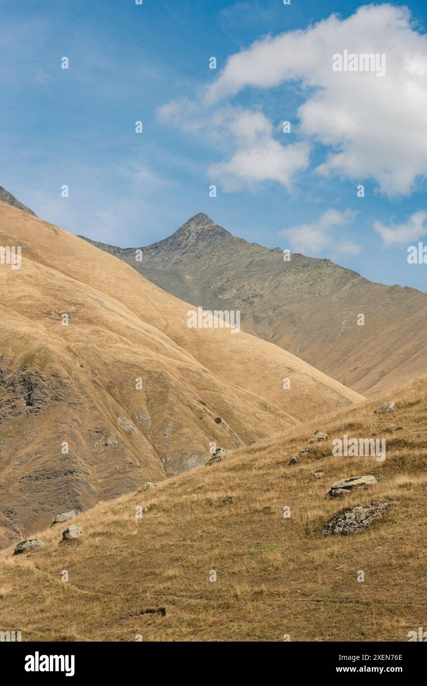 Stark park hi-res stock photography and images - Alamy