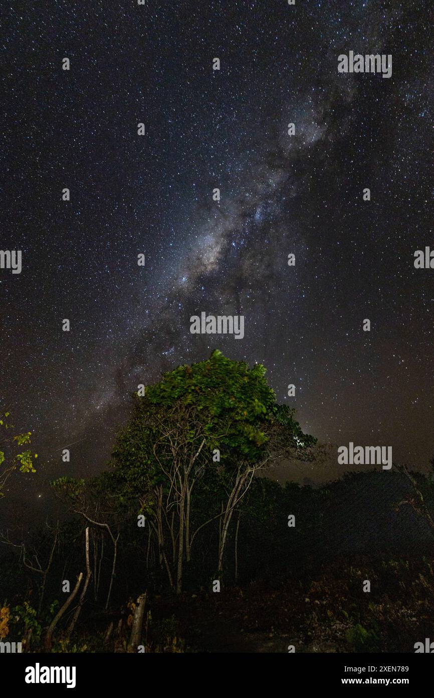 Milky Way galaxy in the night sky over Mbawana Beach in Indonesia; Kodi ...