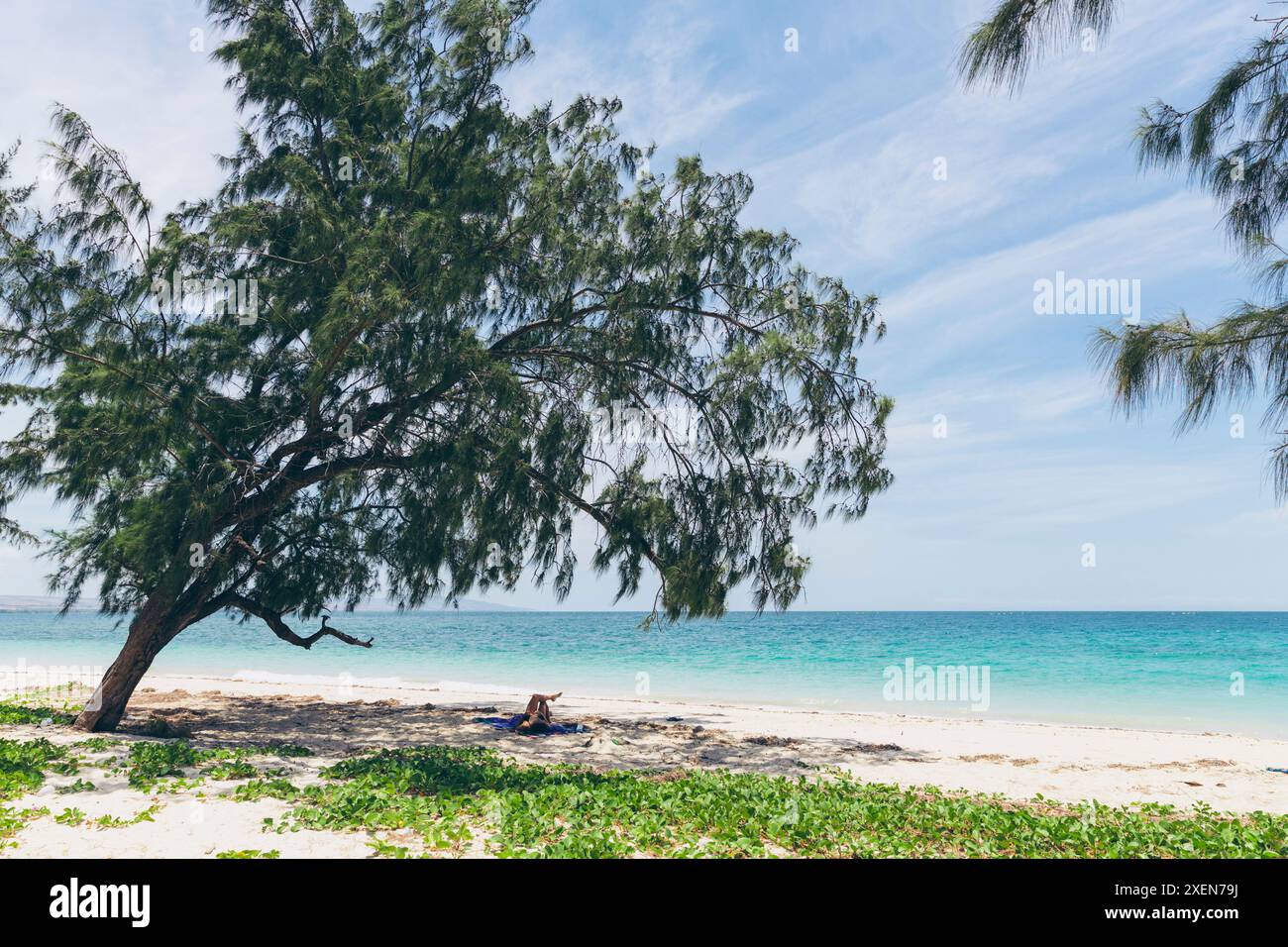 Sumba lesser sunda islands hi-res stock photography and images - Alamy