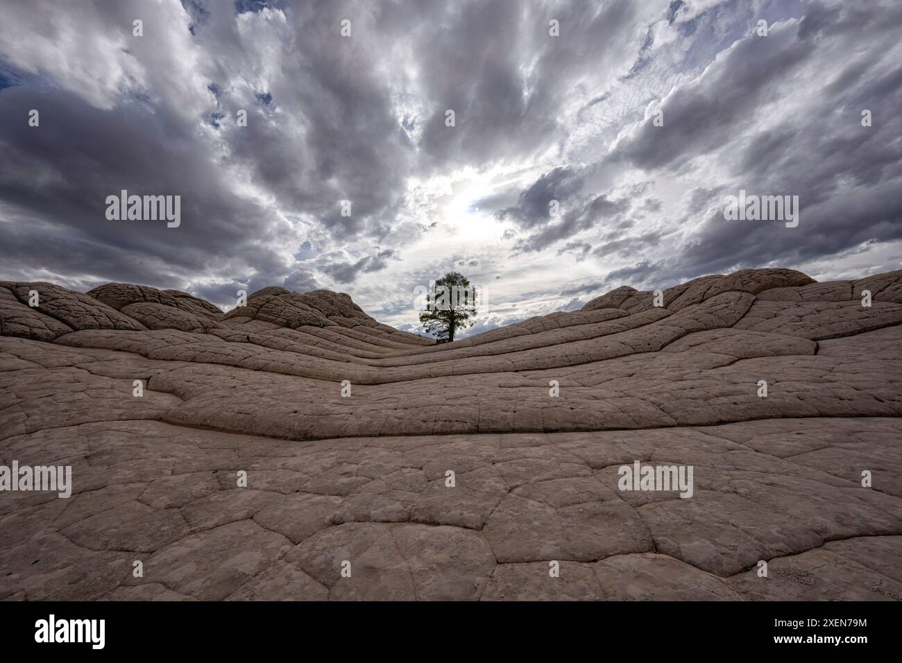 Lone tree standing on horizon on the edge of a rock cliff against ...