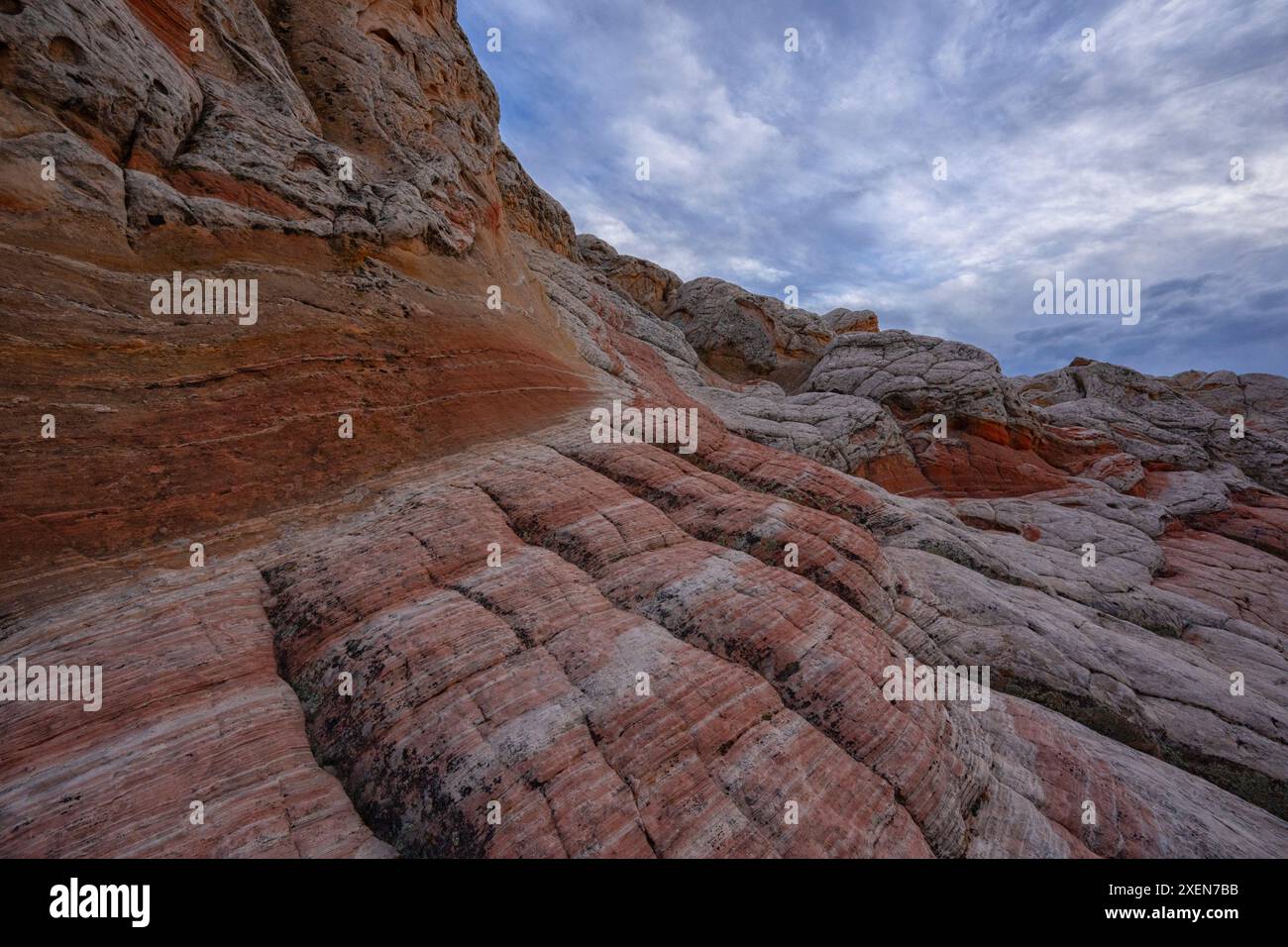 Incredible rock formations in White Pocket, comprised of swirling ...
