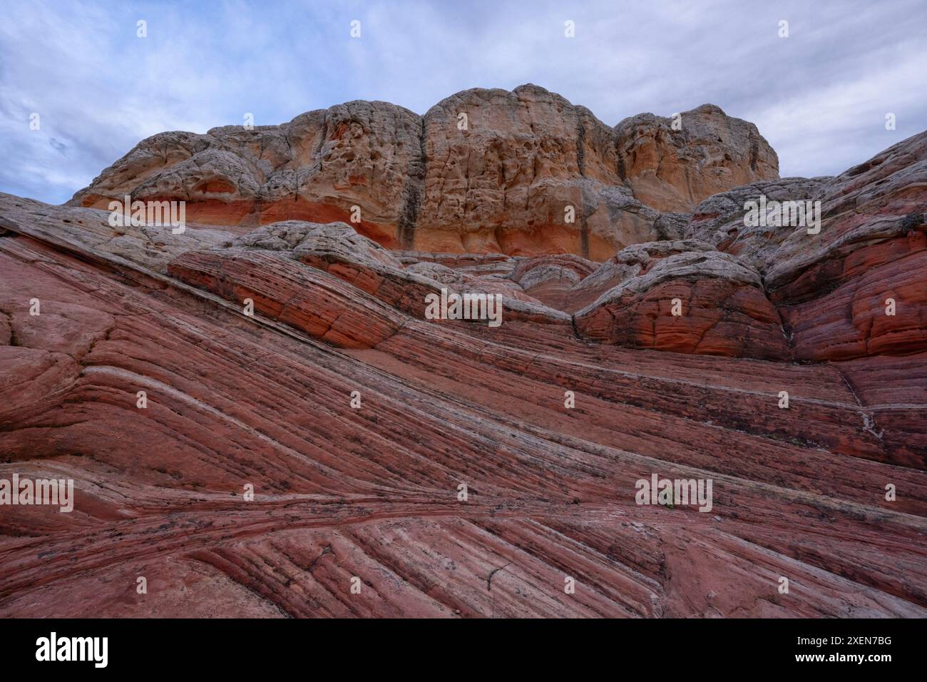 Incredible rock formations in White Pocket, comprised of swirling ...