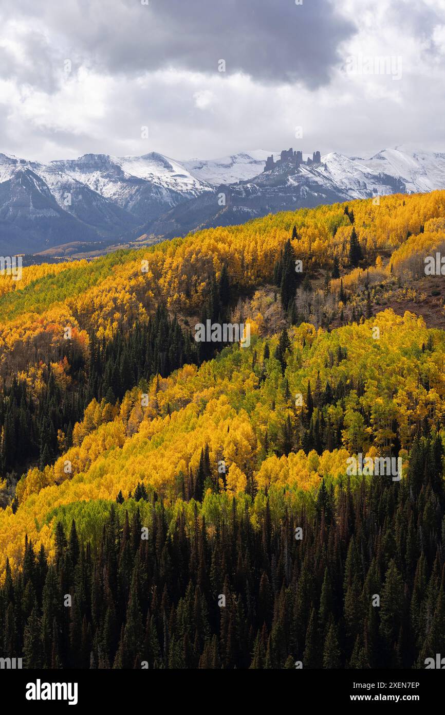 Autumn in Colorado is breathtaking. The Aspen trees create a virtual ...
