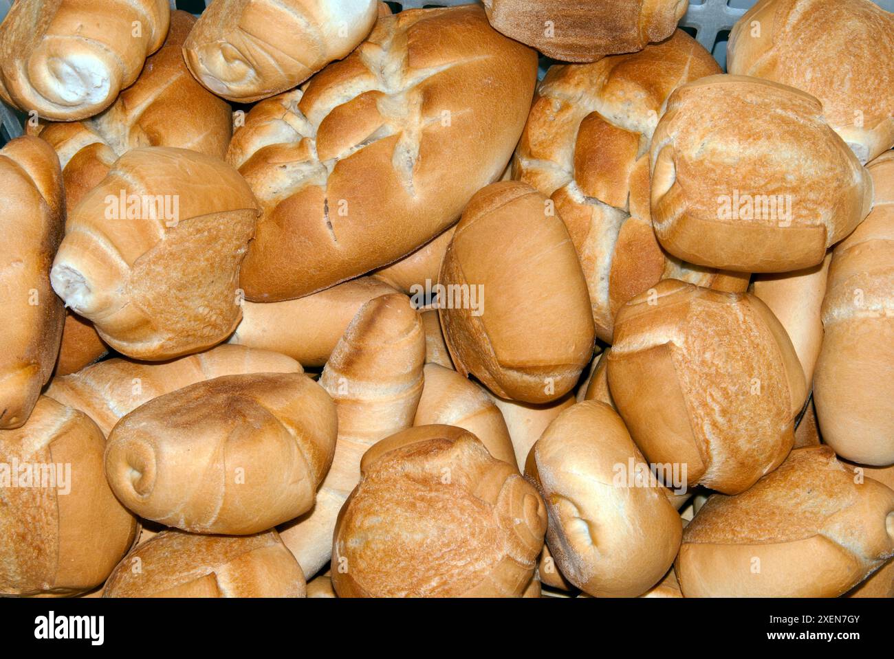 Sourdough bread rolls, cooked in the baker's laboratory, Italy Stock ...
