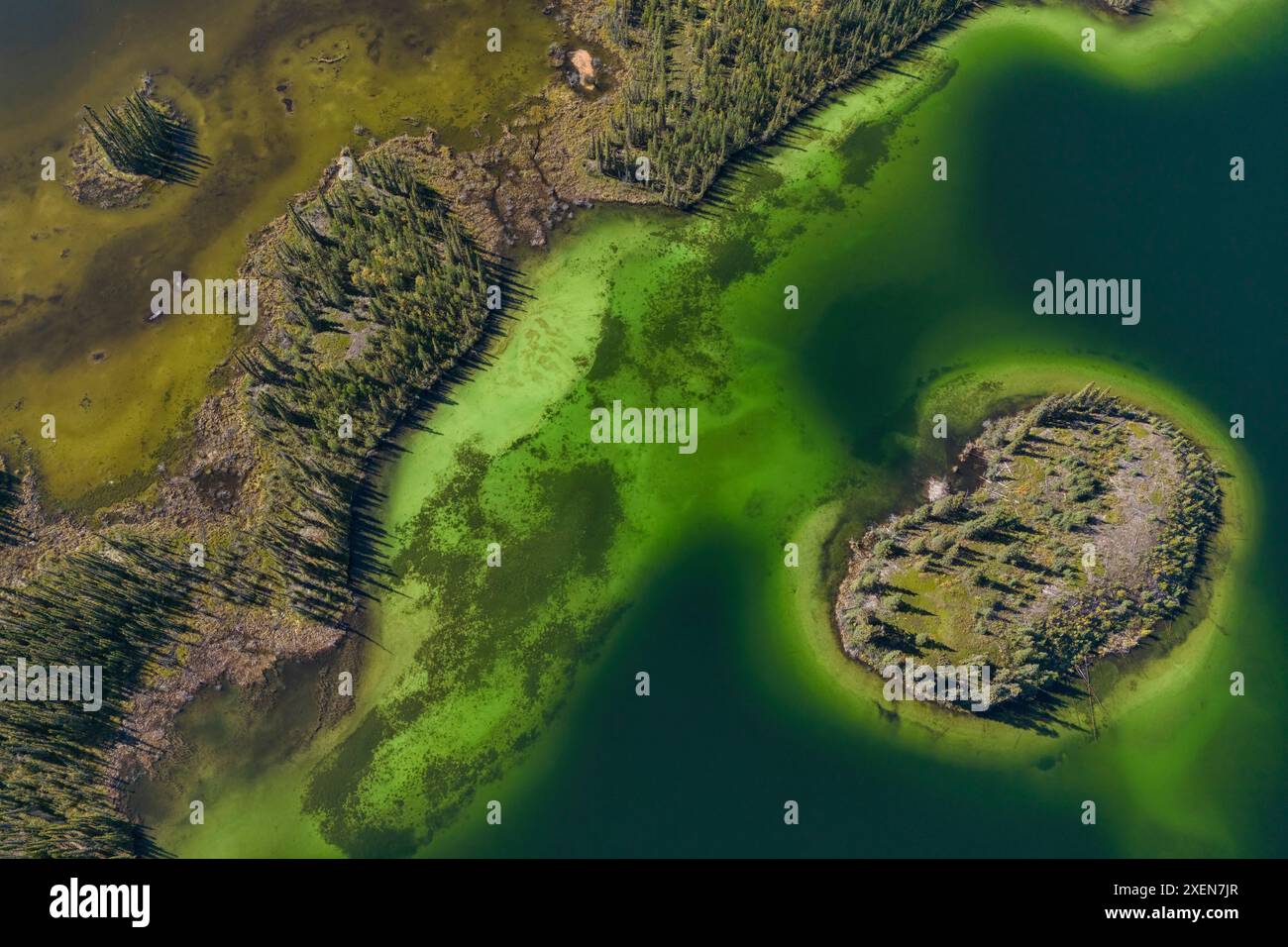 Aerial view of the shoreline of a Yukon lake showing off amazing ...