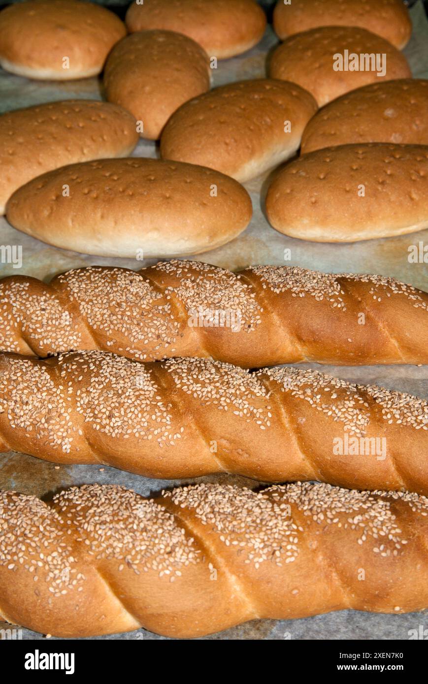 Sourdough bread rolls, cooked in the baker's laboratory, Italy Stock ...