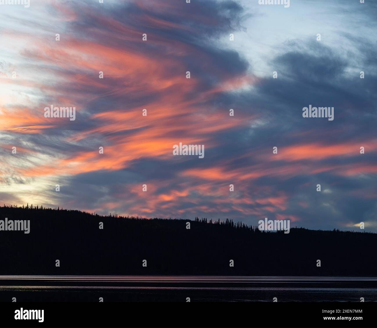 Silhouetted tree-lined horizon with sunset coloring the clouds with ...