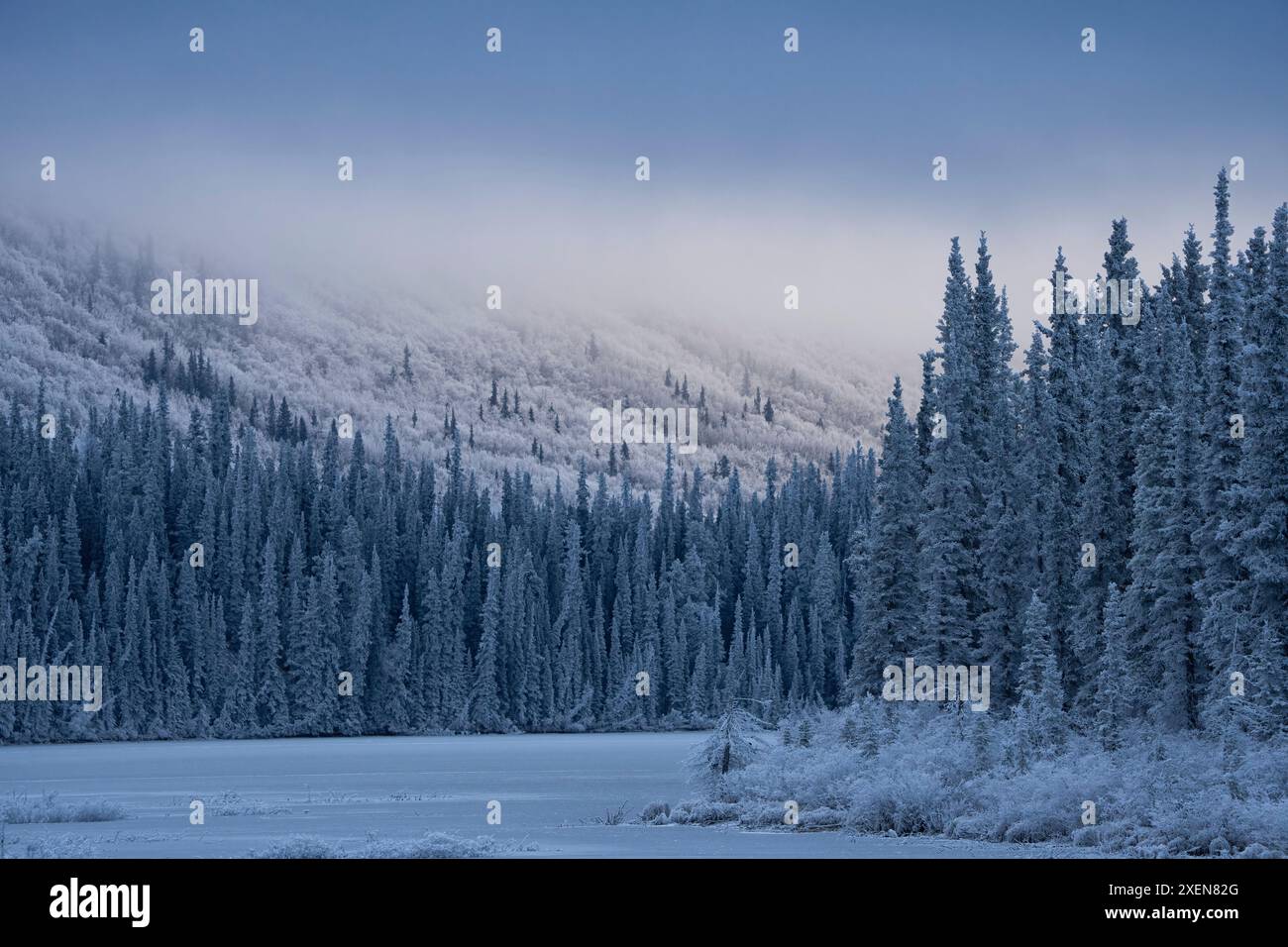 Winter sets in the Yukon as the mountains and trees surrounding Annie ...