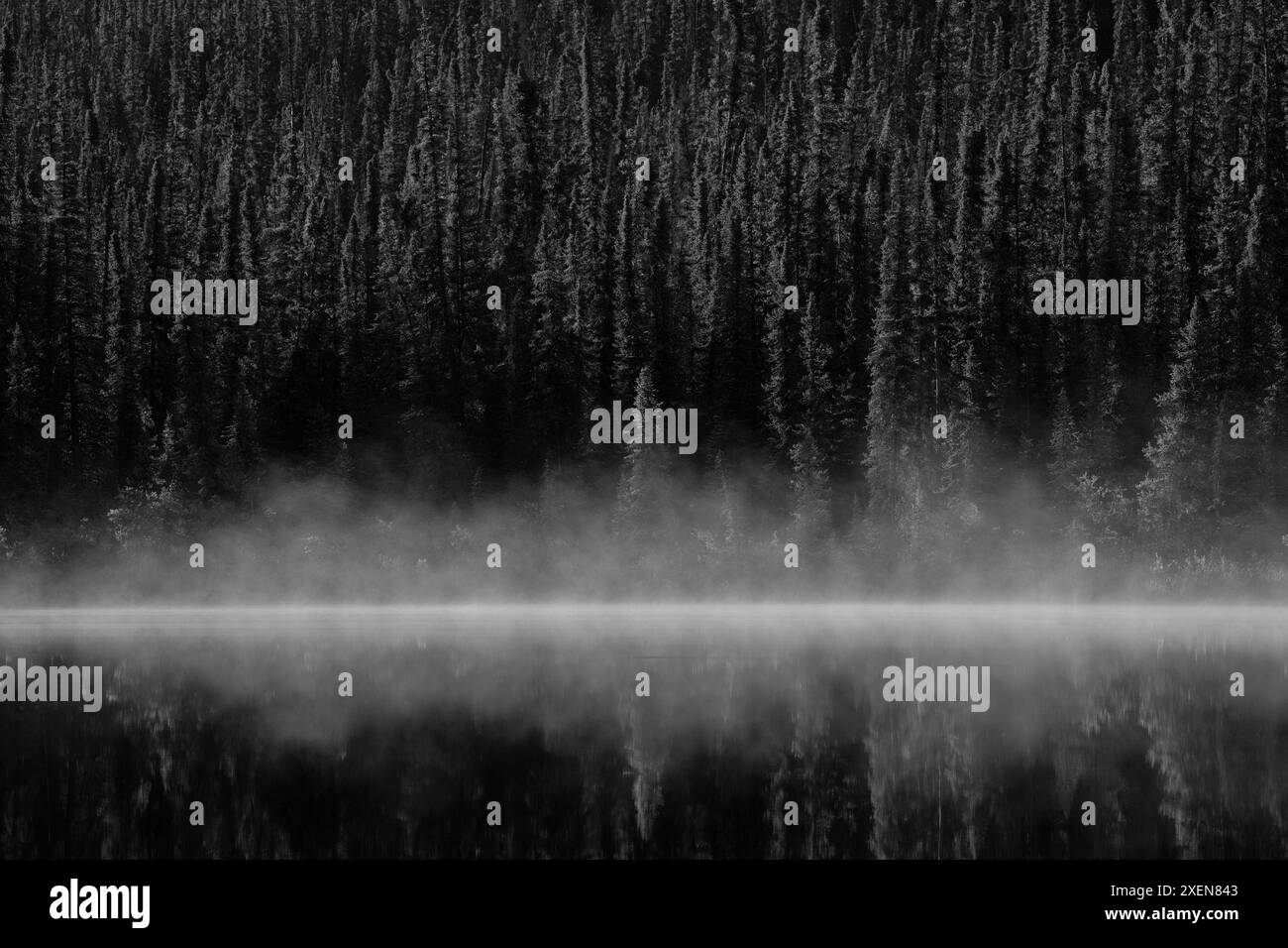 Moody image in black and white image of fog on a small lake outside of ...