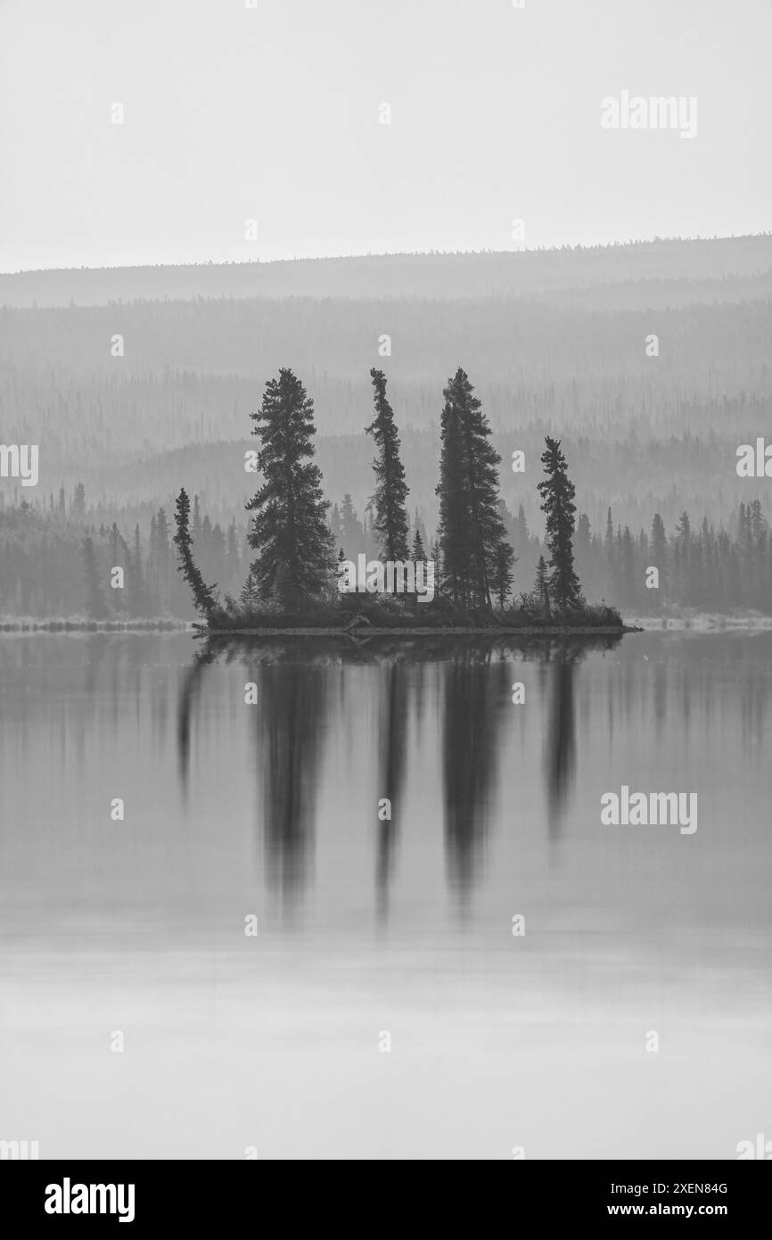 Reflections on a Yukon Lake in summer in black and white. This is Tarfu ...