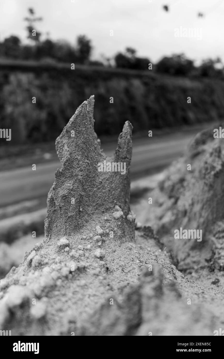 In line formation Black and White Stock Photos & Images - Alamy