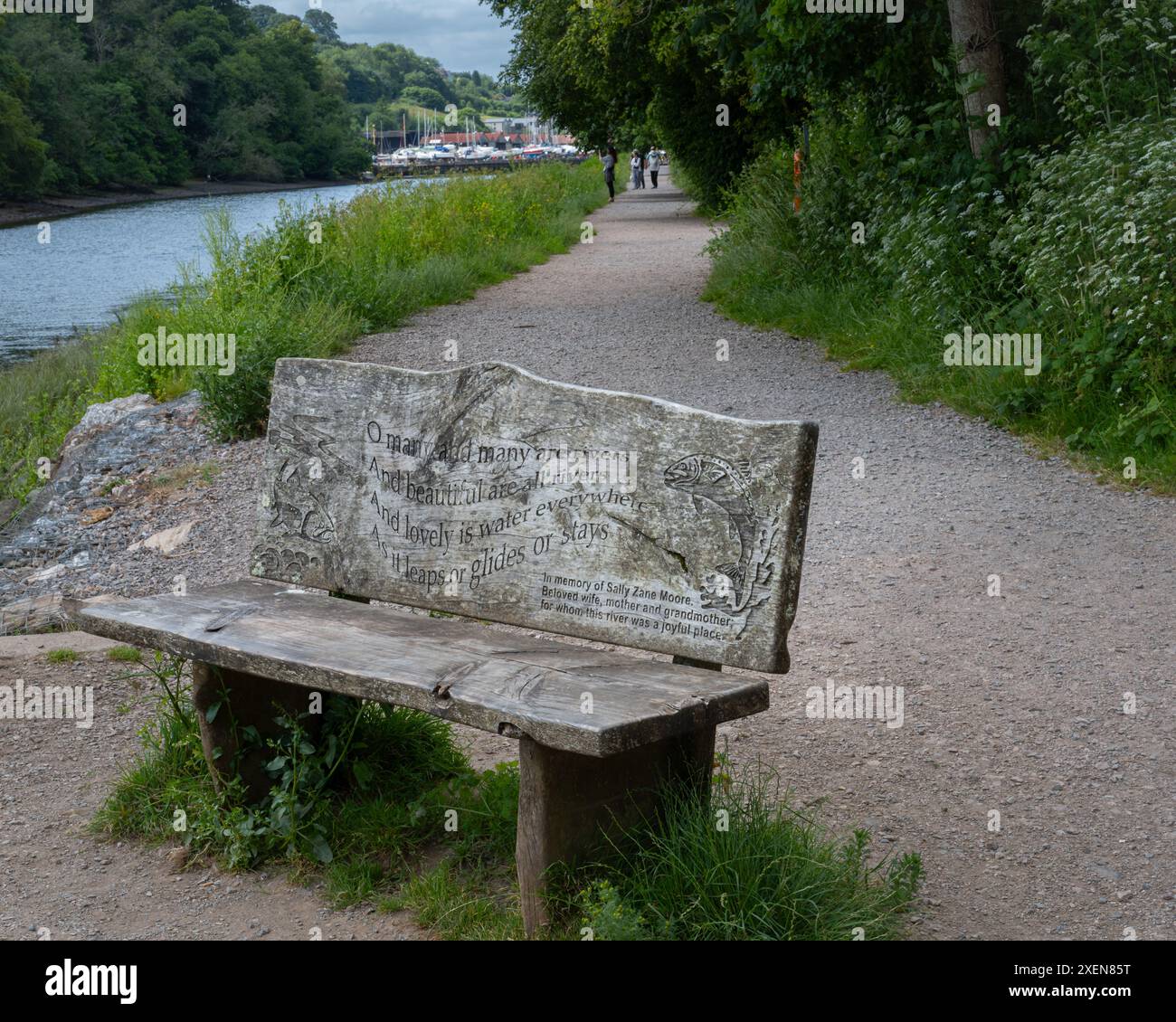 The Longmarsh riverbank walk at Totnes South Devon Stock Photo - Alamy