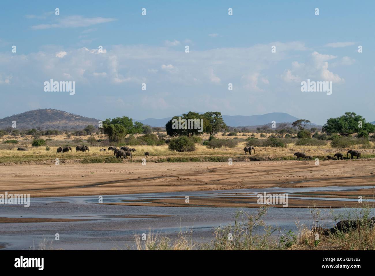 Ruaha national park hi-res stock photography and images - Alamy