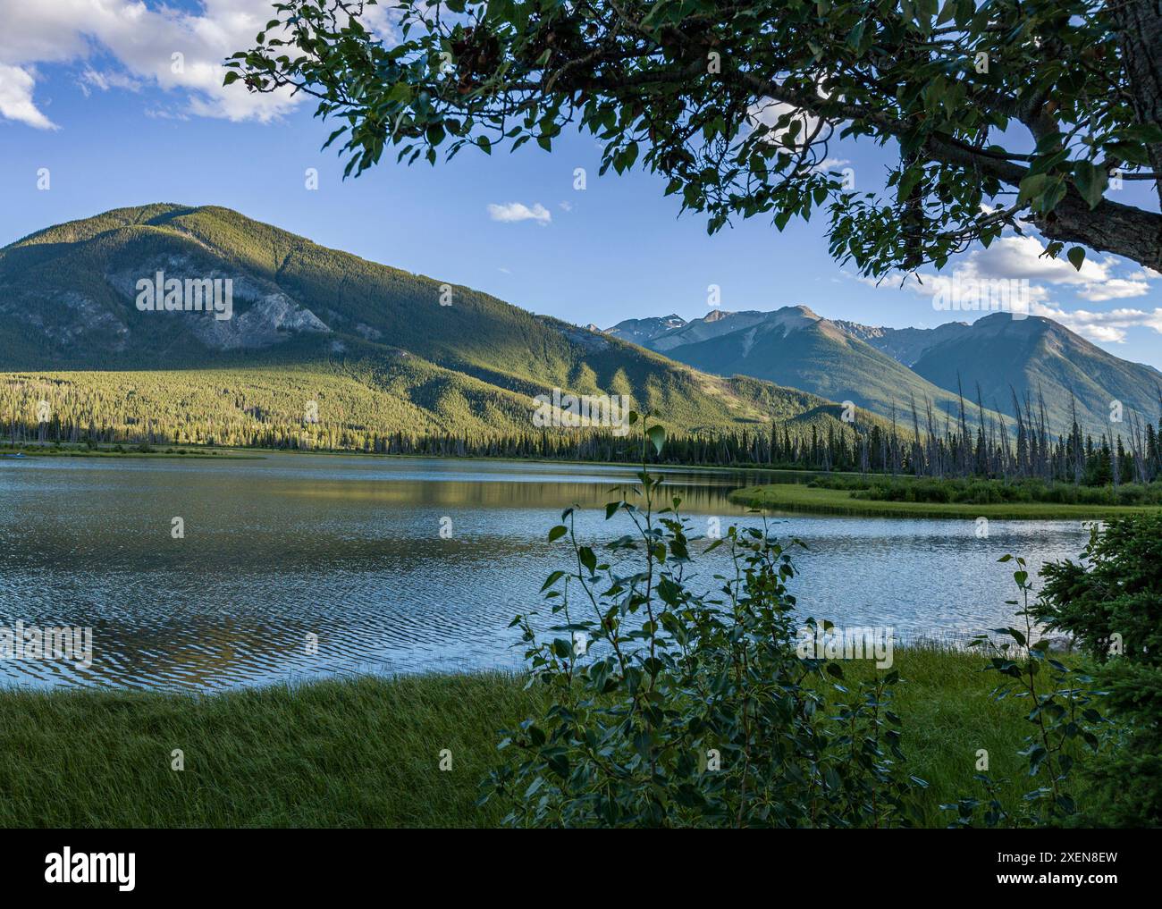 Vermilion Lakes in Banff National Park in Alberta, Canada; Alberta ...