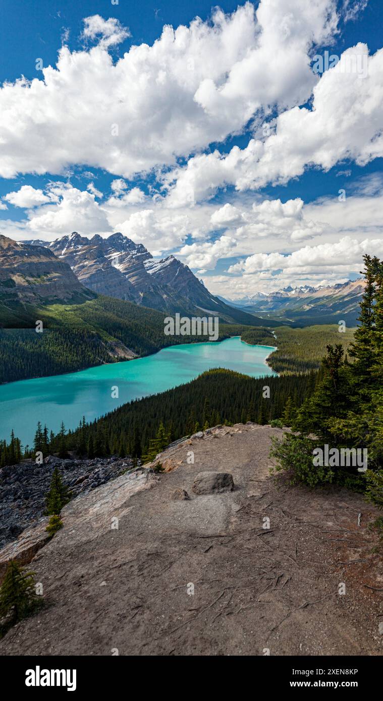 Stunning aquamarine water of Peyto Lake in Banff National Park; Alberta, Canada Stock Photo - Alamy