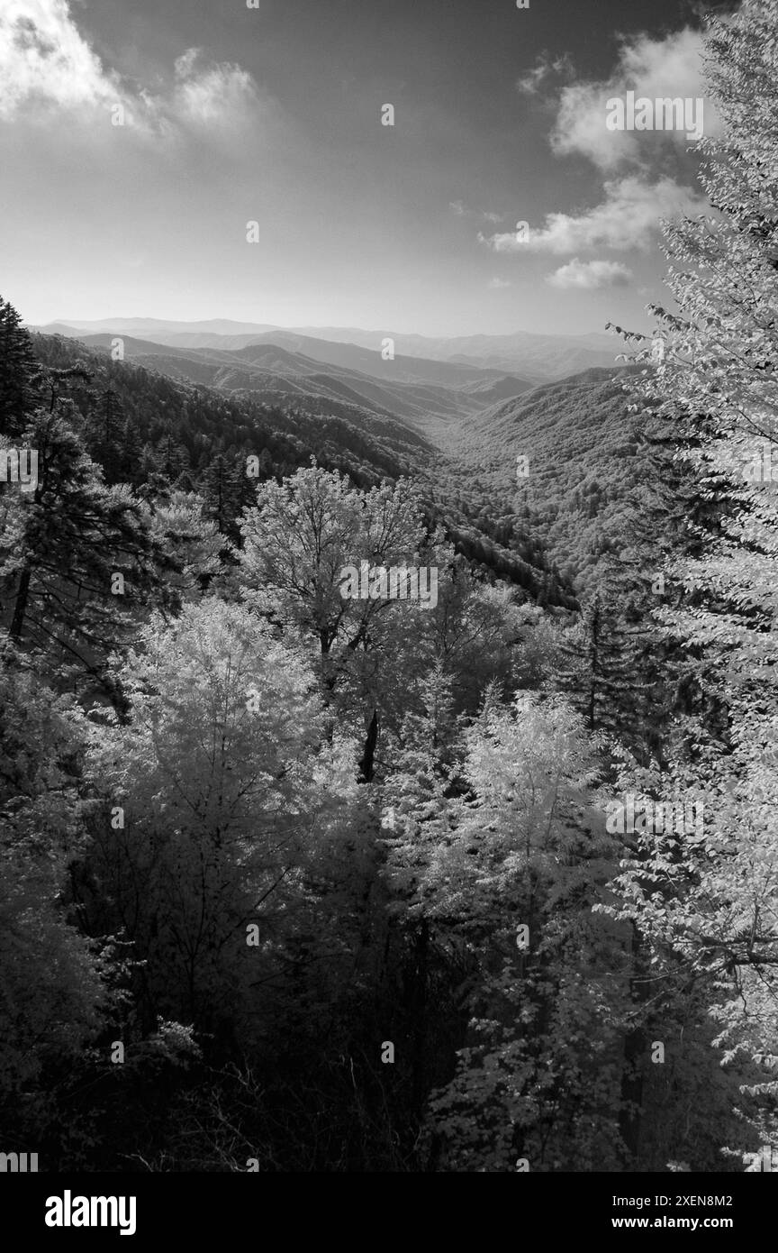 Black and white infrared landscape in the Great Smoky Mountains, Great ...