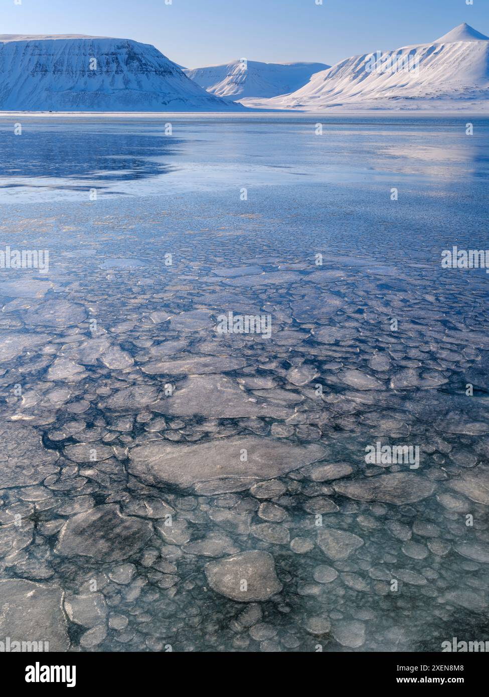 Pancake ice, process of forming of sea ice. Coast of Colesbukta part of ...