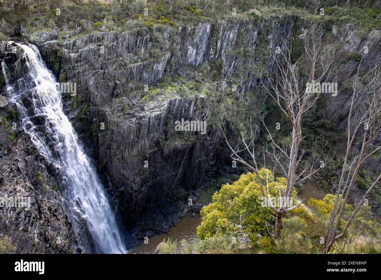 Apsley falls waterfall in Oxley Wild Rivers national park, near Walcha ...