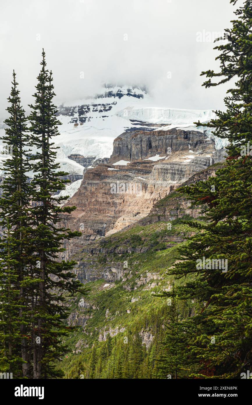 Victoria Glacier seen from Plain of Six Glaciers Trail in Banff ...
