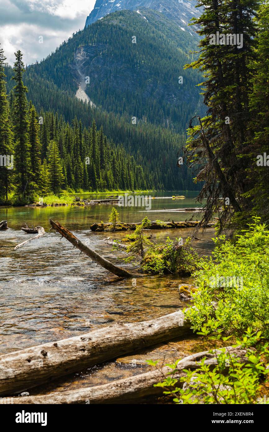 Geraldine Lake in Jasper National Park; Alberta, Canada Stock Photo - Alamy