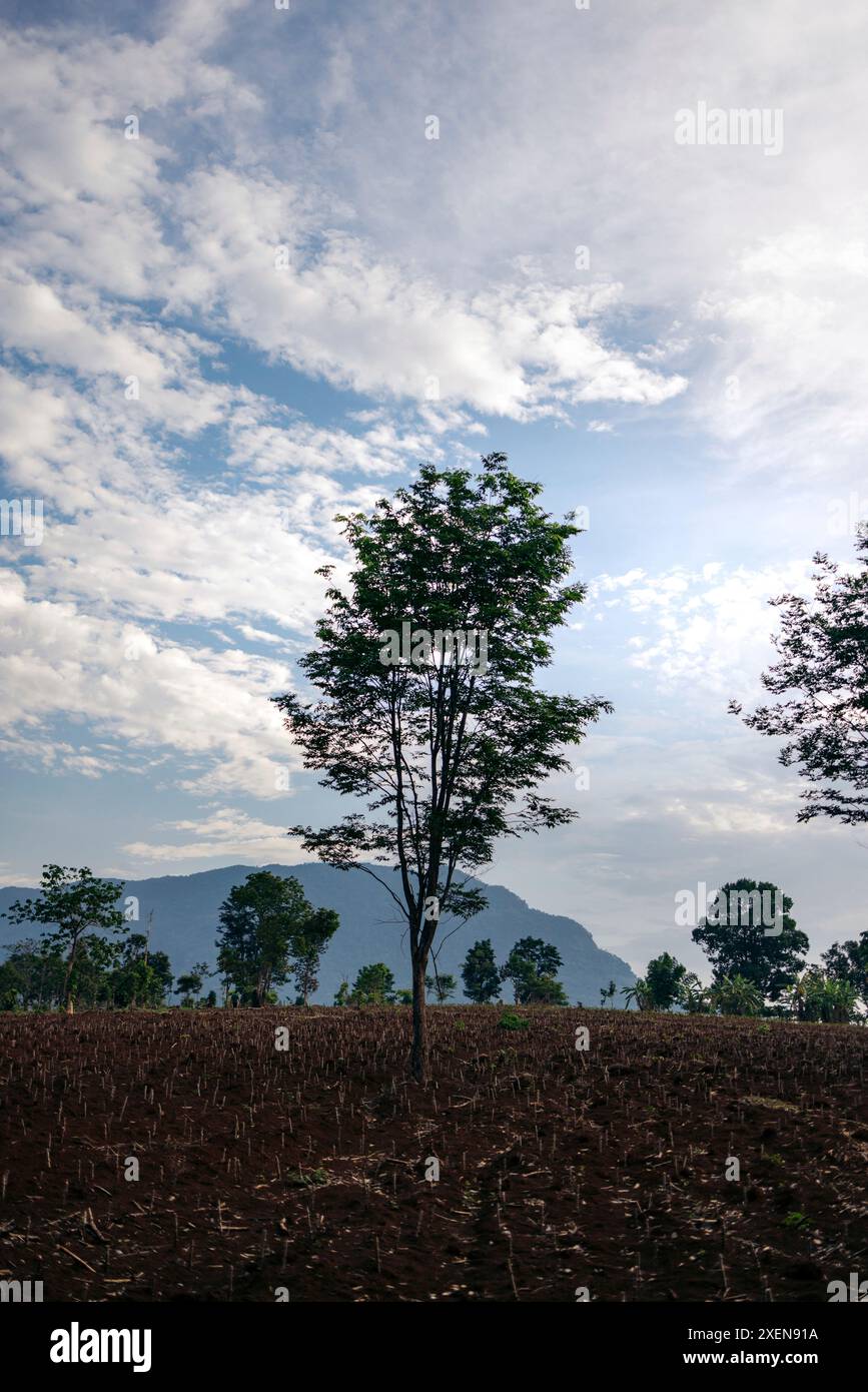 Beautiful mountains in southeast asia hi-res stock photography and ...