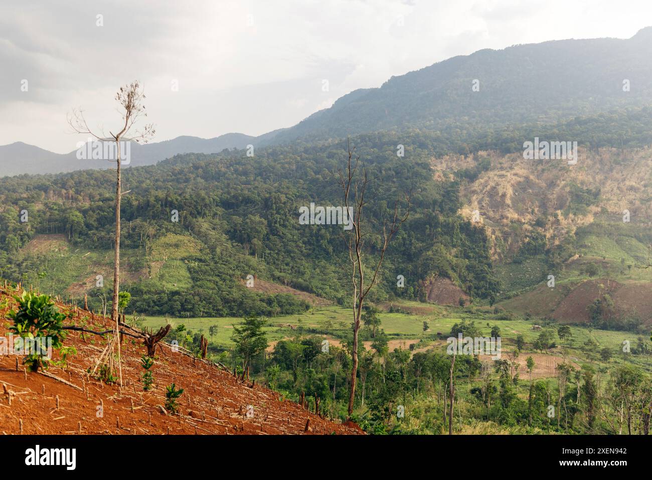 View of a picturesque landscape from Kok Phung Tai community village in ...