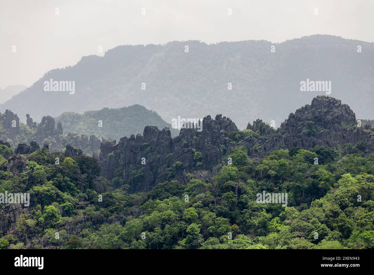 Limestone rock forest near the Rock Viewpoint in Laos; Khammouane ...