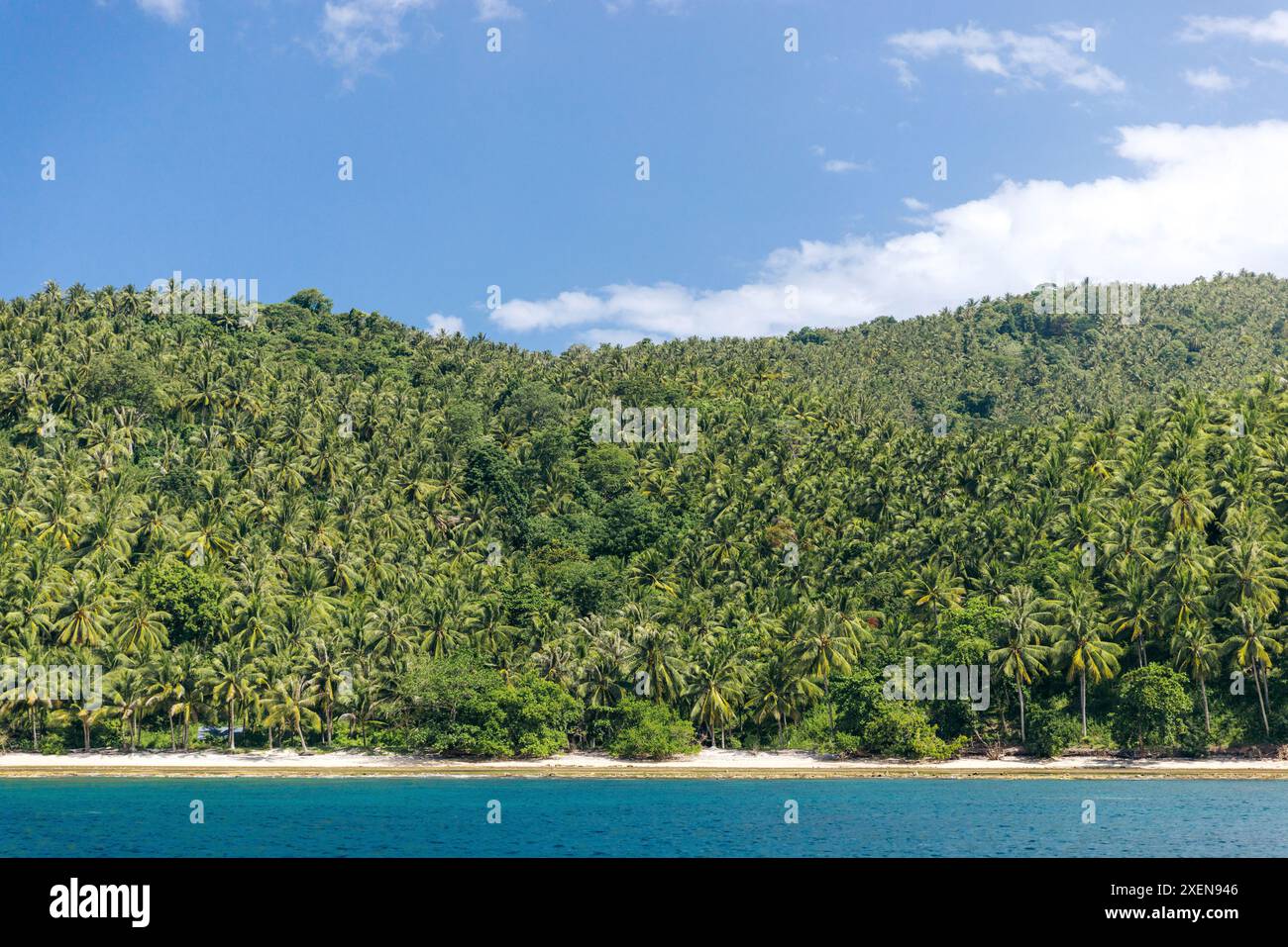 Patokan Beach (Jiko) with a hillside covered in palm trees in North ...