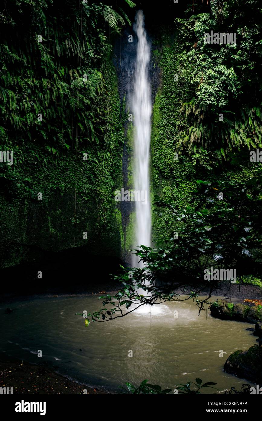 Beautiful plunging Tumimperas waterfall into a pool with lush ...