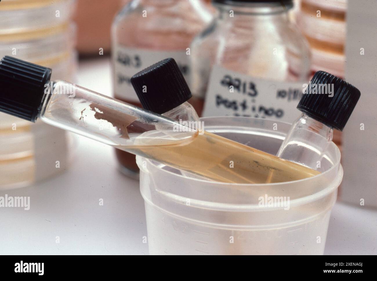 Cultivated samples hi-res stock photography and images - Alamy