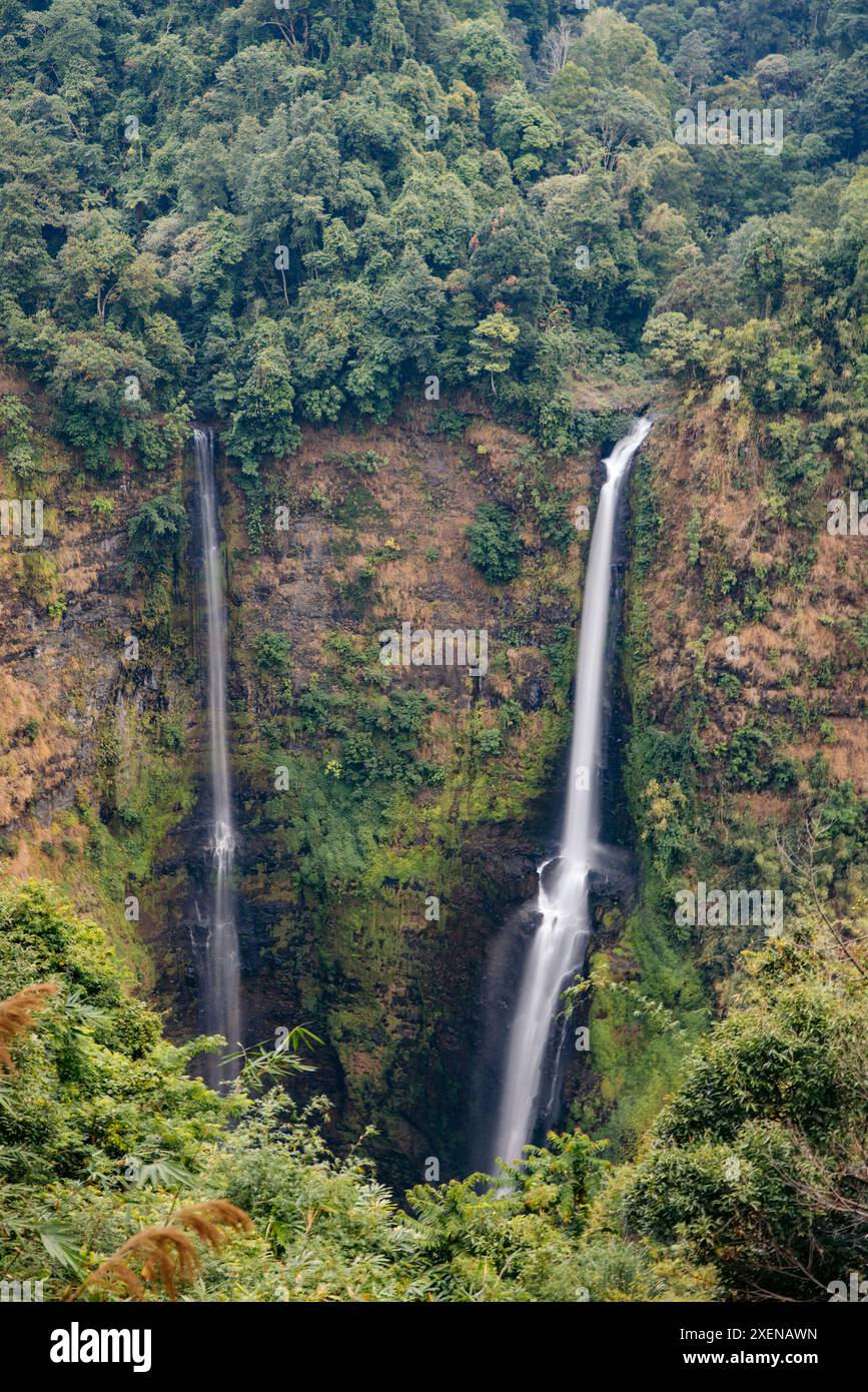 Twin waterfalls at Tad Gneuang Waterfall, dropping from a high cliff ...