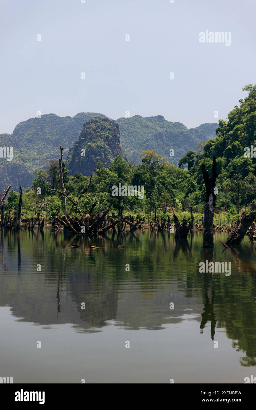 Trees growing in the tranquil Mekong River water in the Thakhek Loop ...