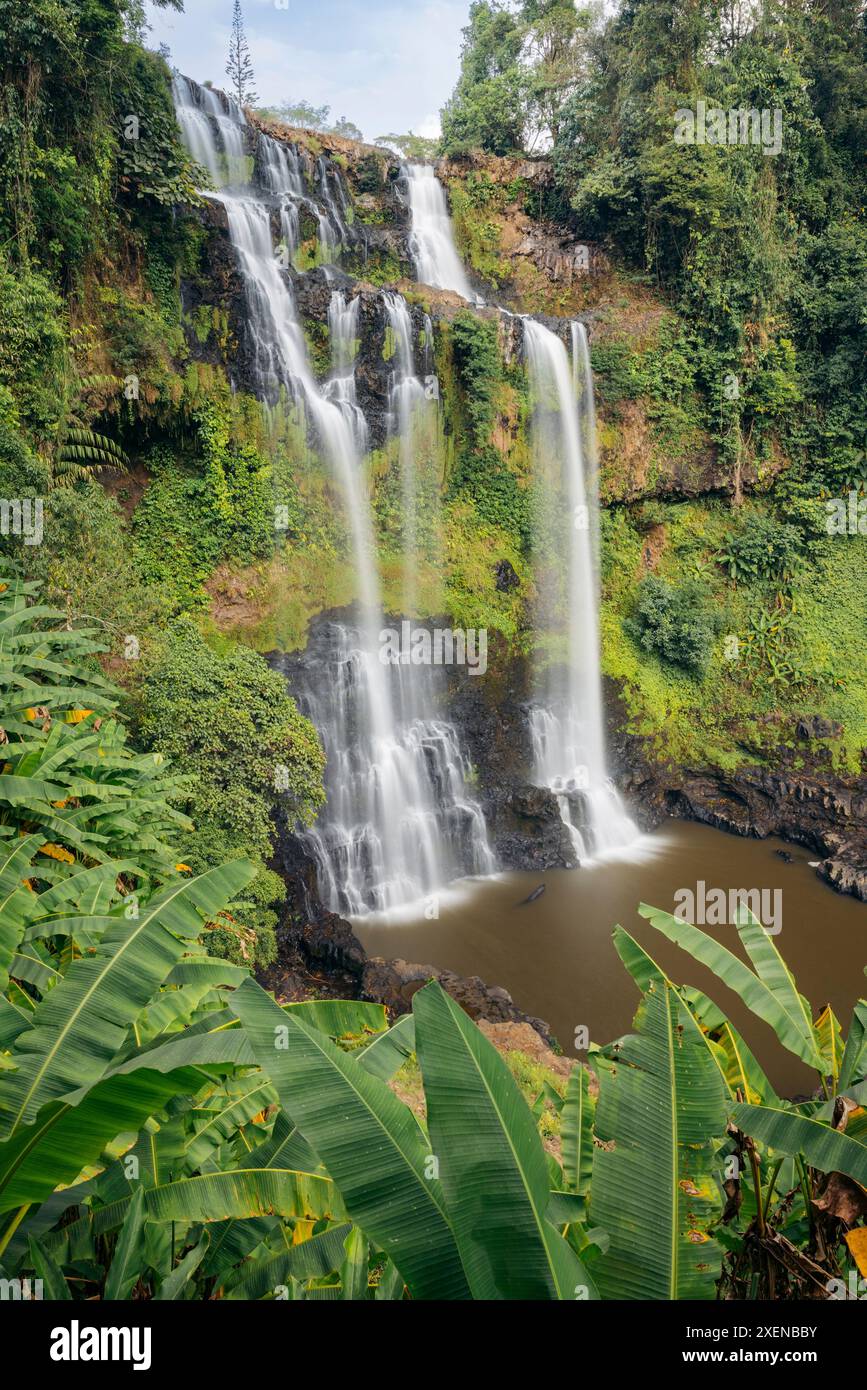 Paksong district hi-res stock photography and images - Alamy