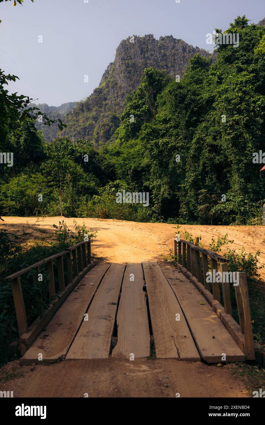 Wooden boards laid to cross water along a dirt road with lush ...