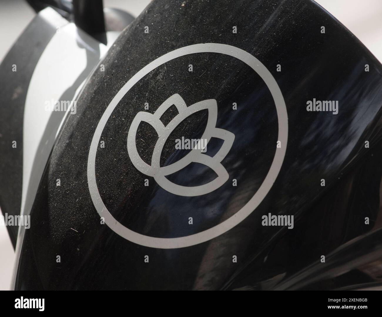 a flower or floral symbol for decorative purposes and beautification a ...