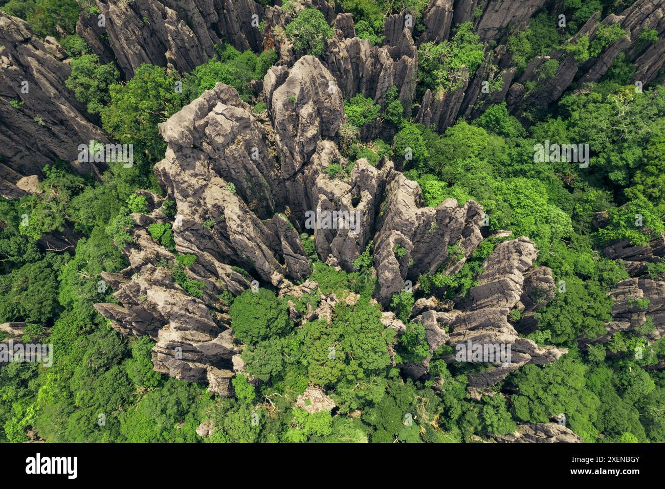 Aerial view of directly above the limestone rock forest near the Rock ...