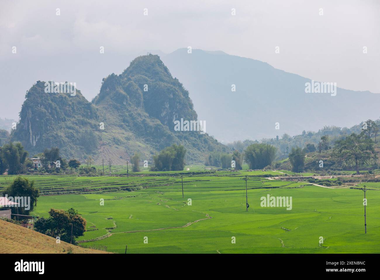 Peaked landforms surrounding lush farmland in the Than Uyen District of ...