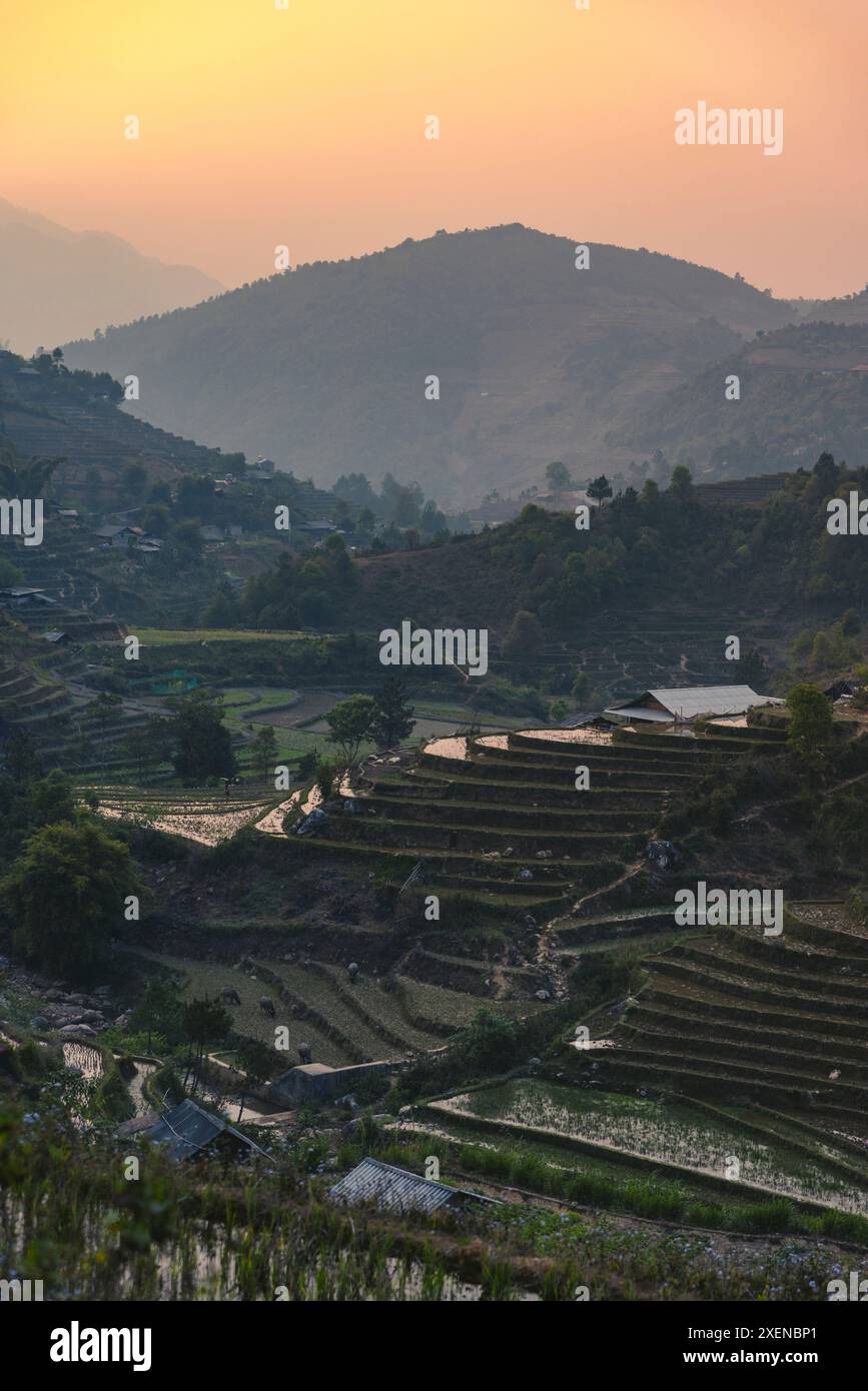 Terraced farmland at sunset in Mu Cang Chai District of Vietnam; La Pan ...