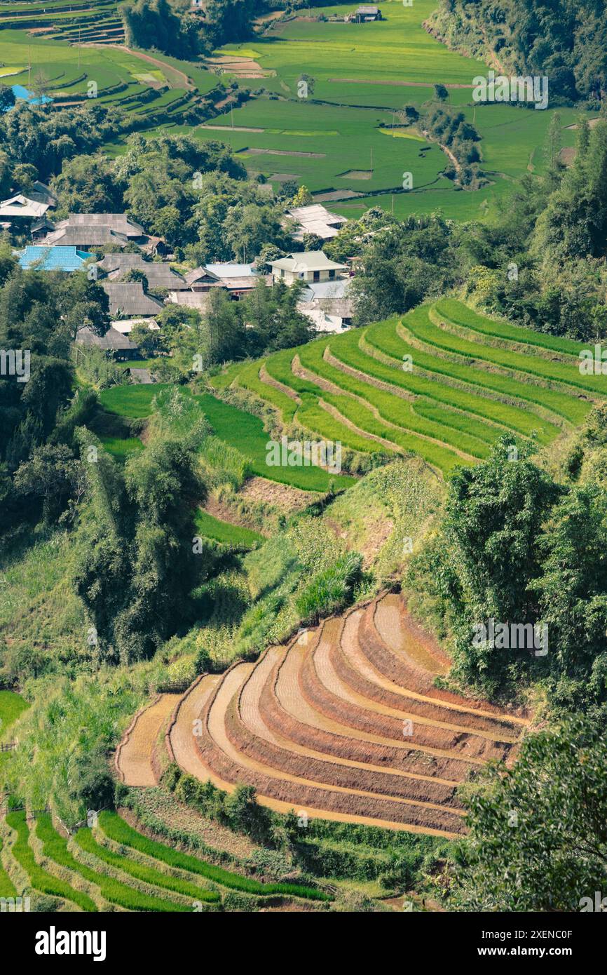 Terraced rice fields at Khau Pha Pass in Vietnam; Khau Pha Pass, Cao ...