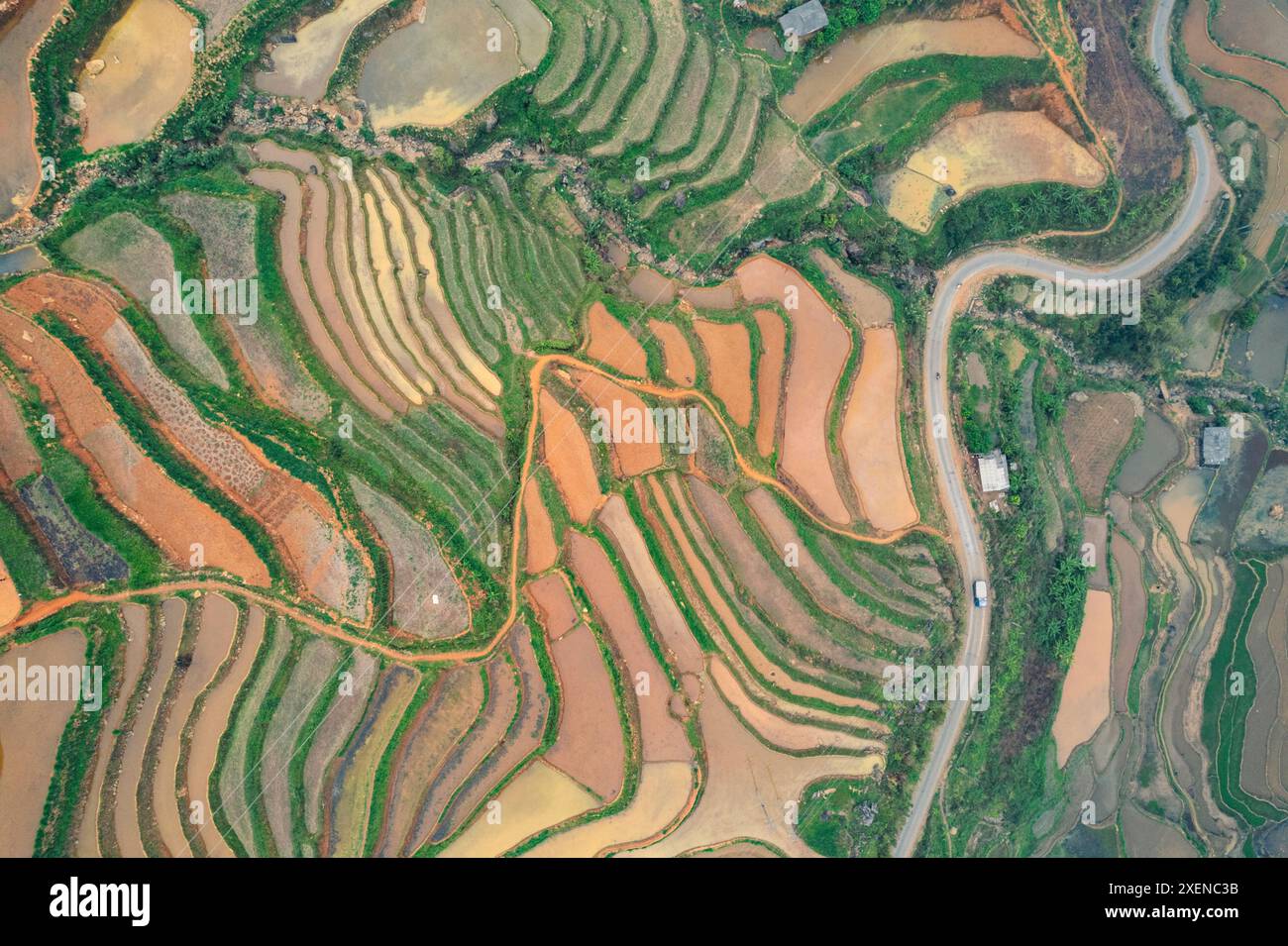 Rice farming on terraces in the Muong La District of Vietnam; Ngoc ...