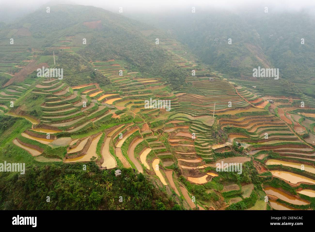 Vast terraced farmland in Vietnam; Nam Pam, Muong La District, Son La ...