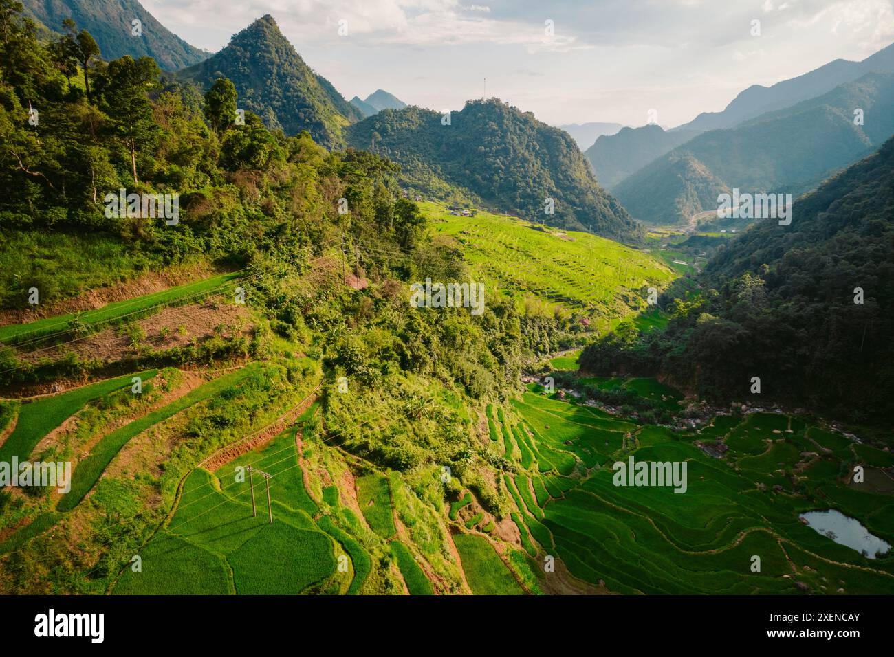 Green lush farmland in terraces on a mountainous terrain, Vietnam; Nam ...