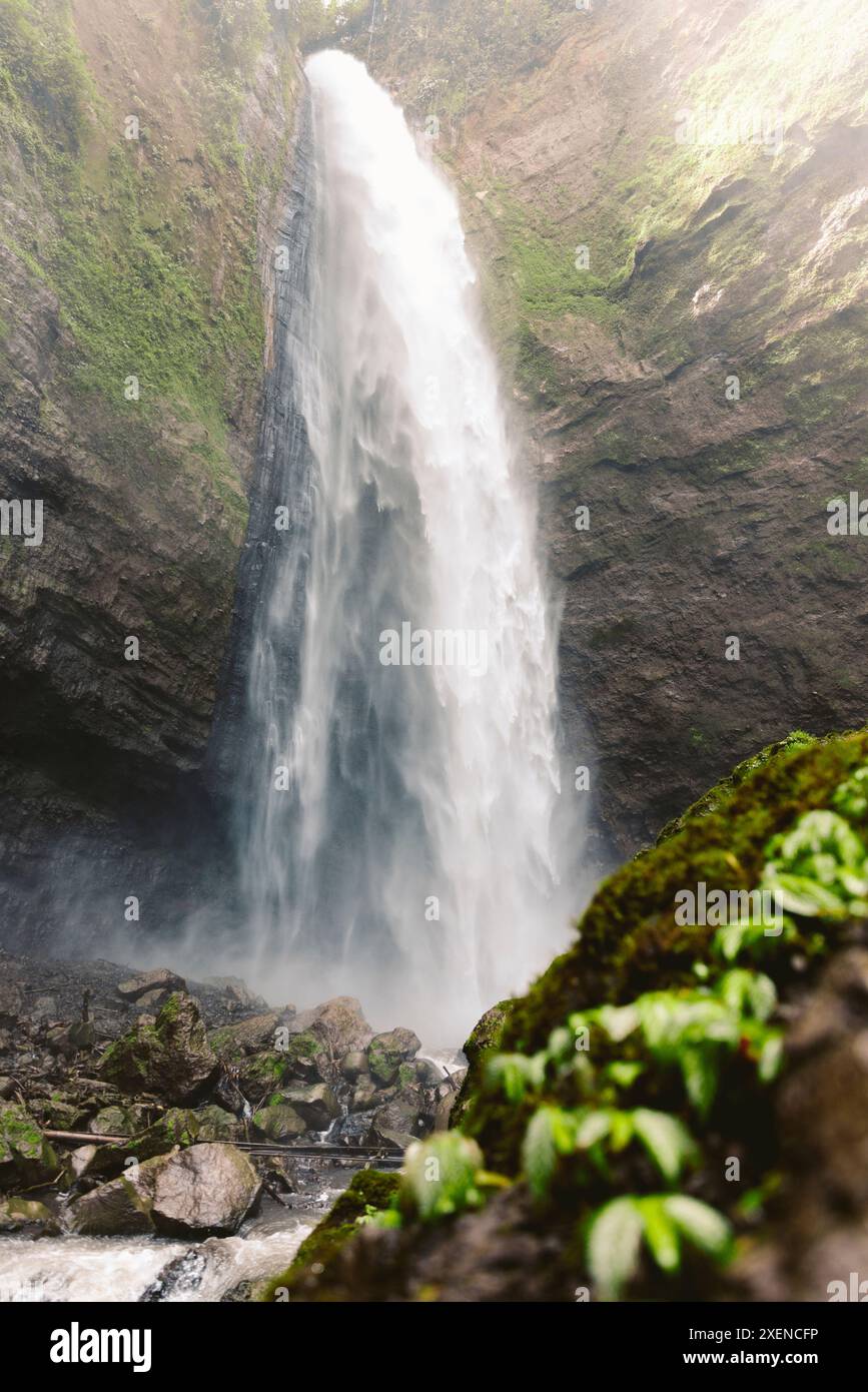 Motion blur and dramatic splashes from a high waterfall and lush ...