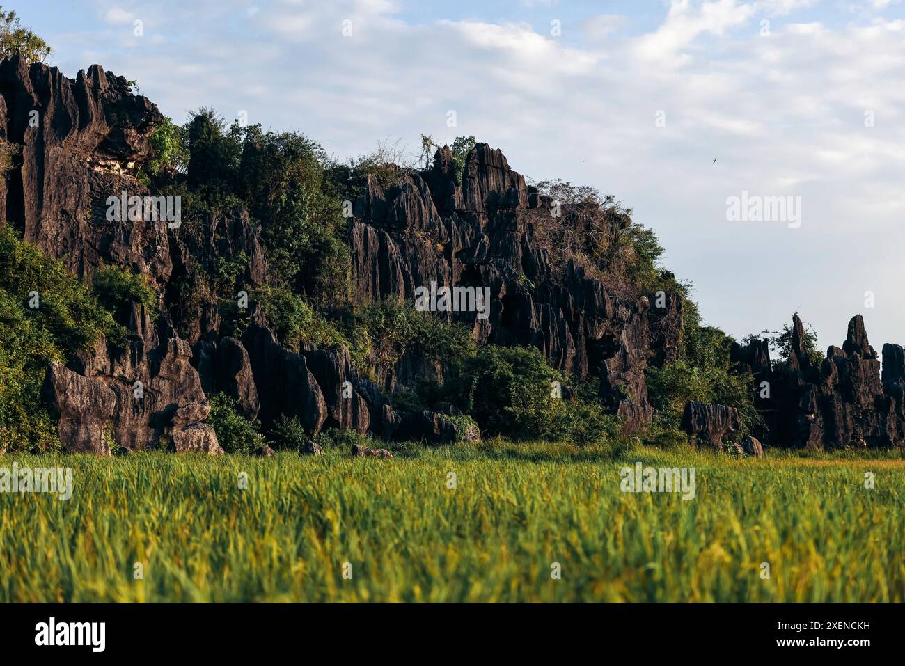Karst mountains and rice fields in Rammang-Rammang, South Sulawesi ...