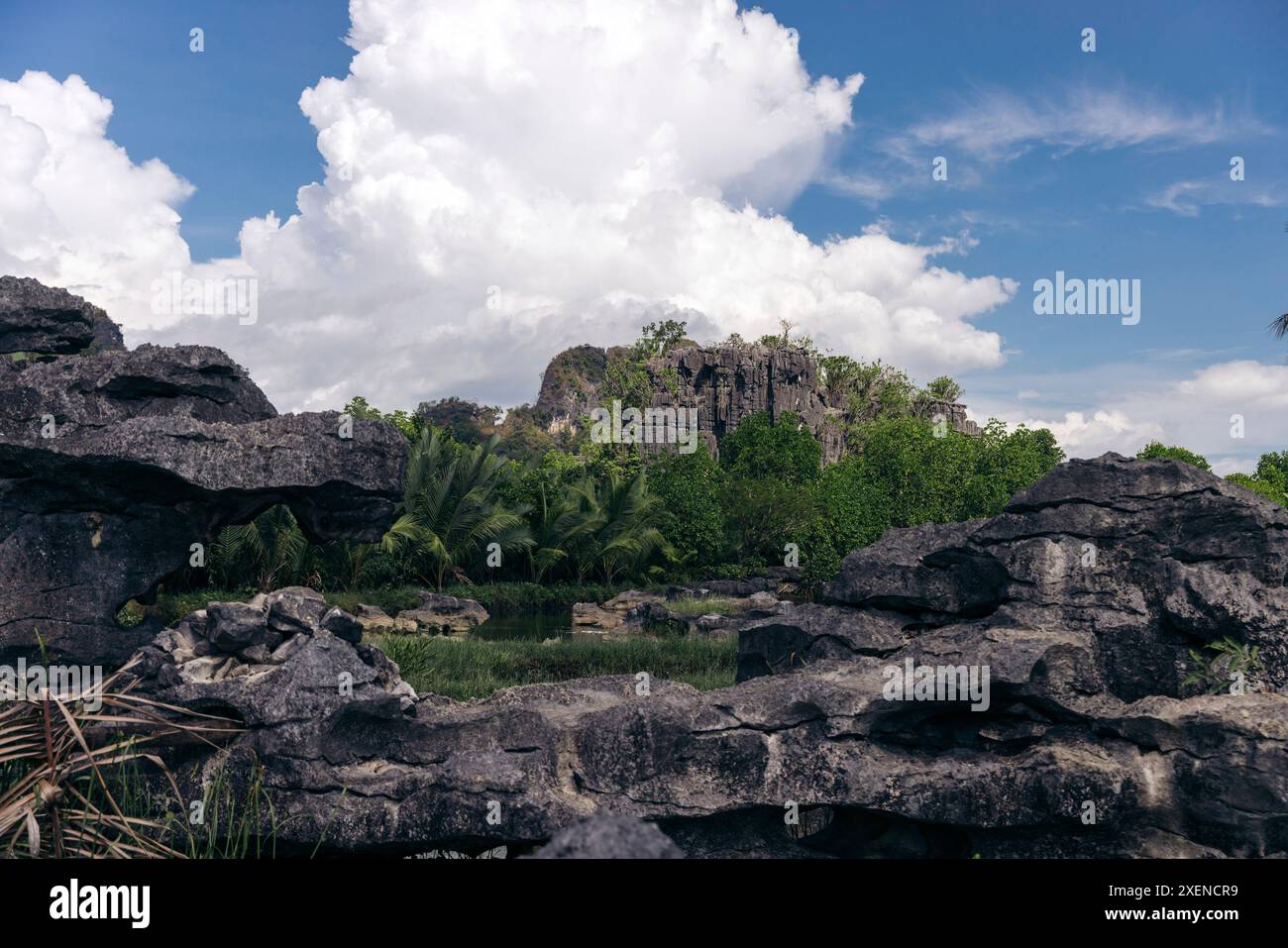 Beautiful karst limestone region of Rammang-Rammang, South Sulawesi ...